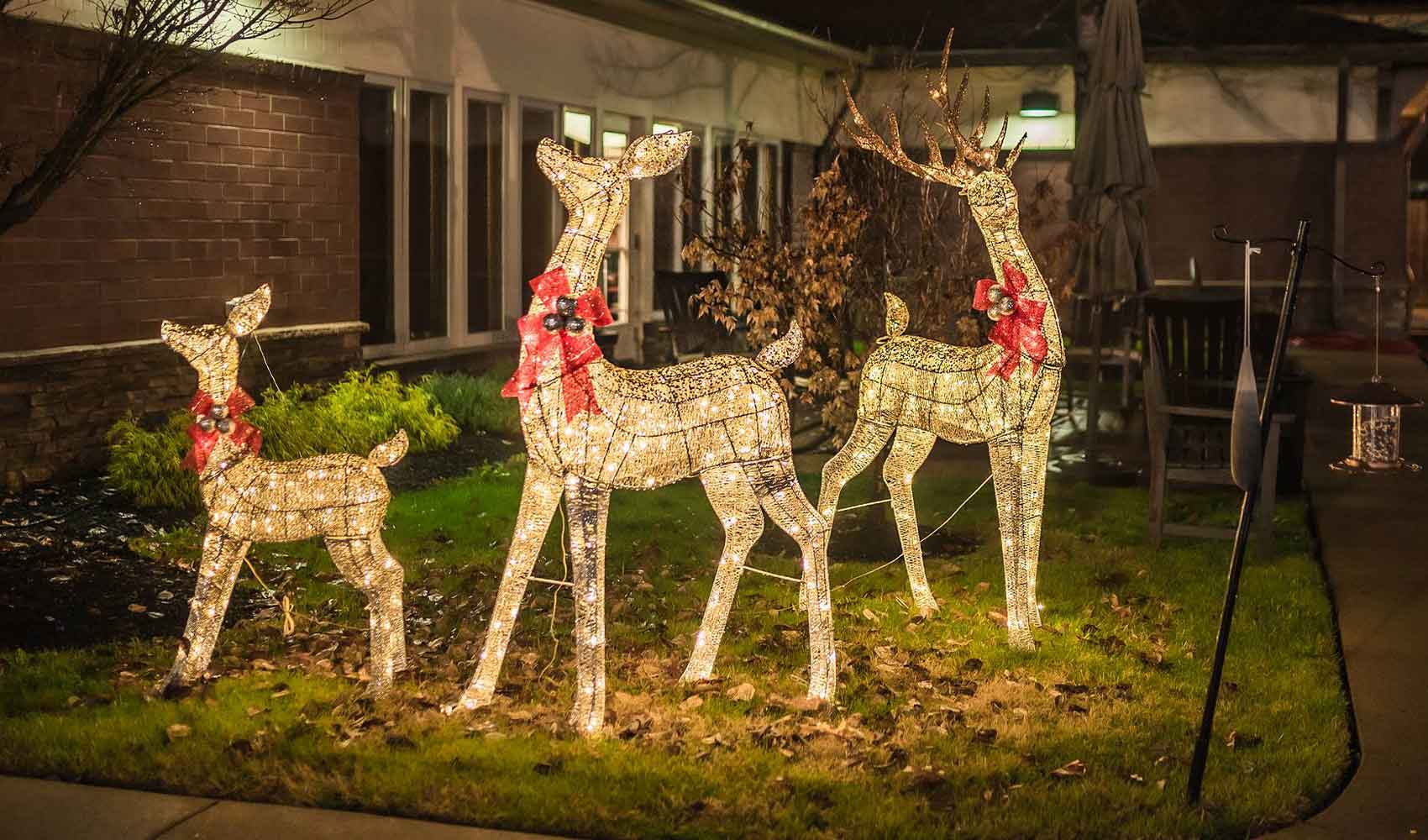 Holidays at The Lodge - The Lodge